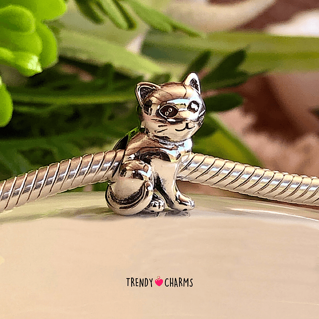 Charm Gato Mi Compañero Plata 925