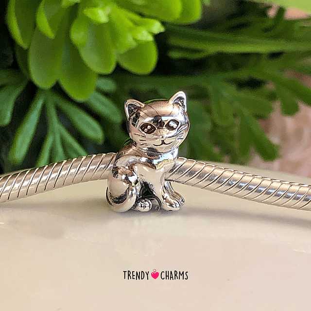 Charm Gato Mi Compañero Plata 925