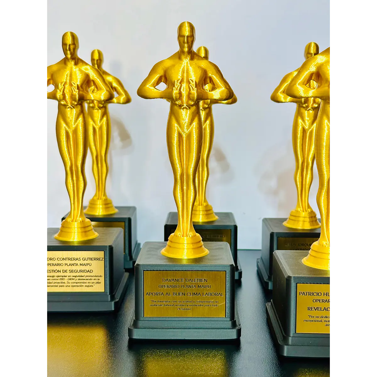 Reconocimientos 25cm Oscar
