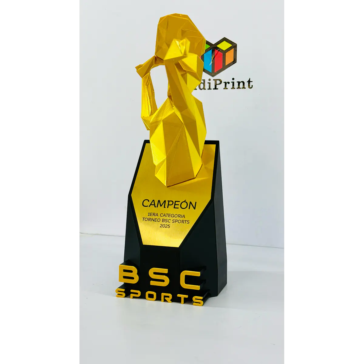 Trofeo padel Torneo BSC Sports 2025