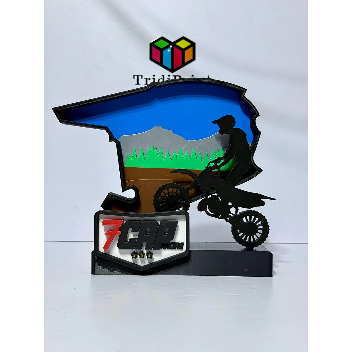 Trofeo personalizado 25cm Motocross