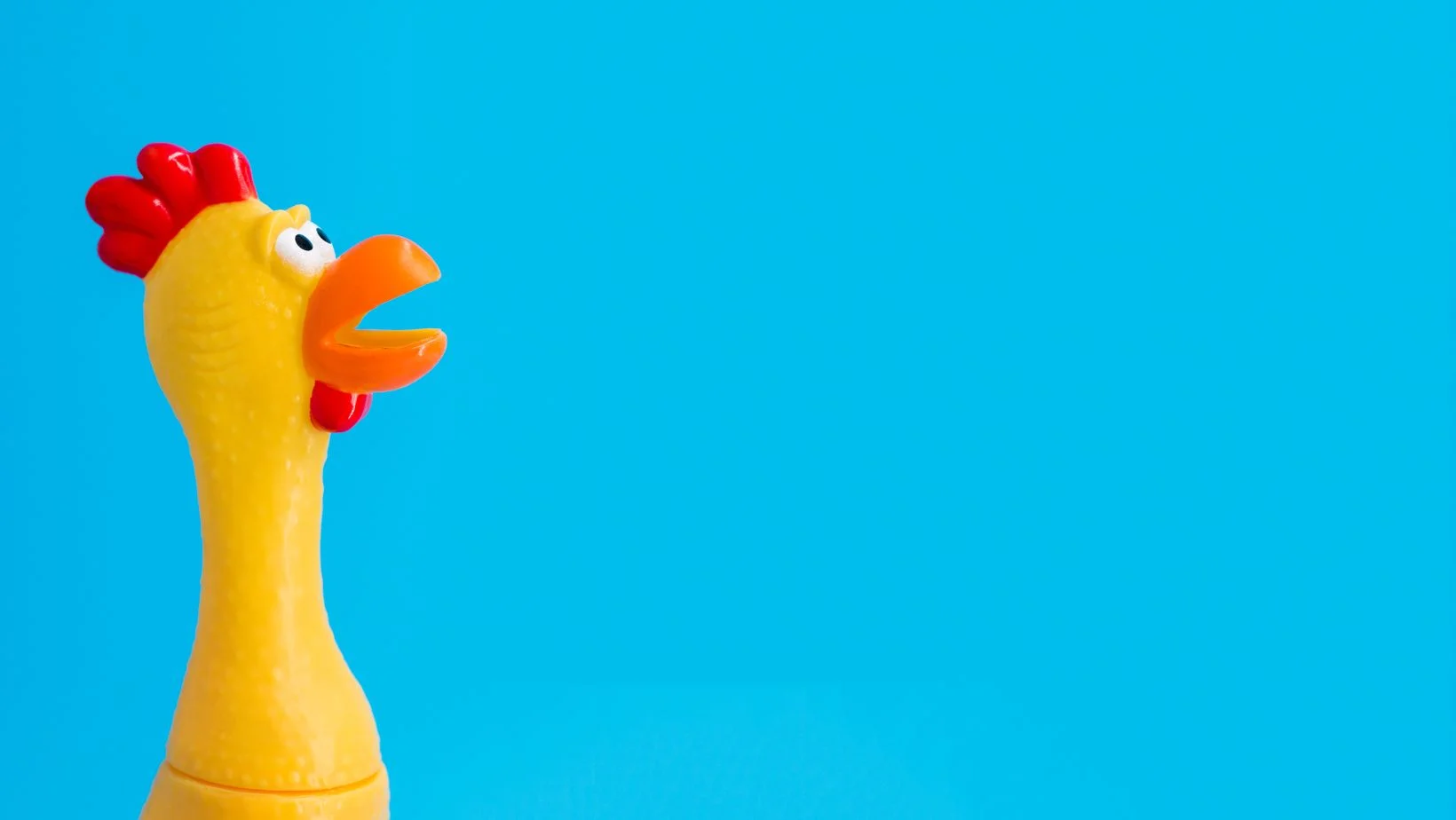 El pollo plástico: ¿Por qué es el juguete perfecto para tu p