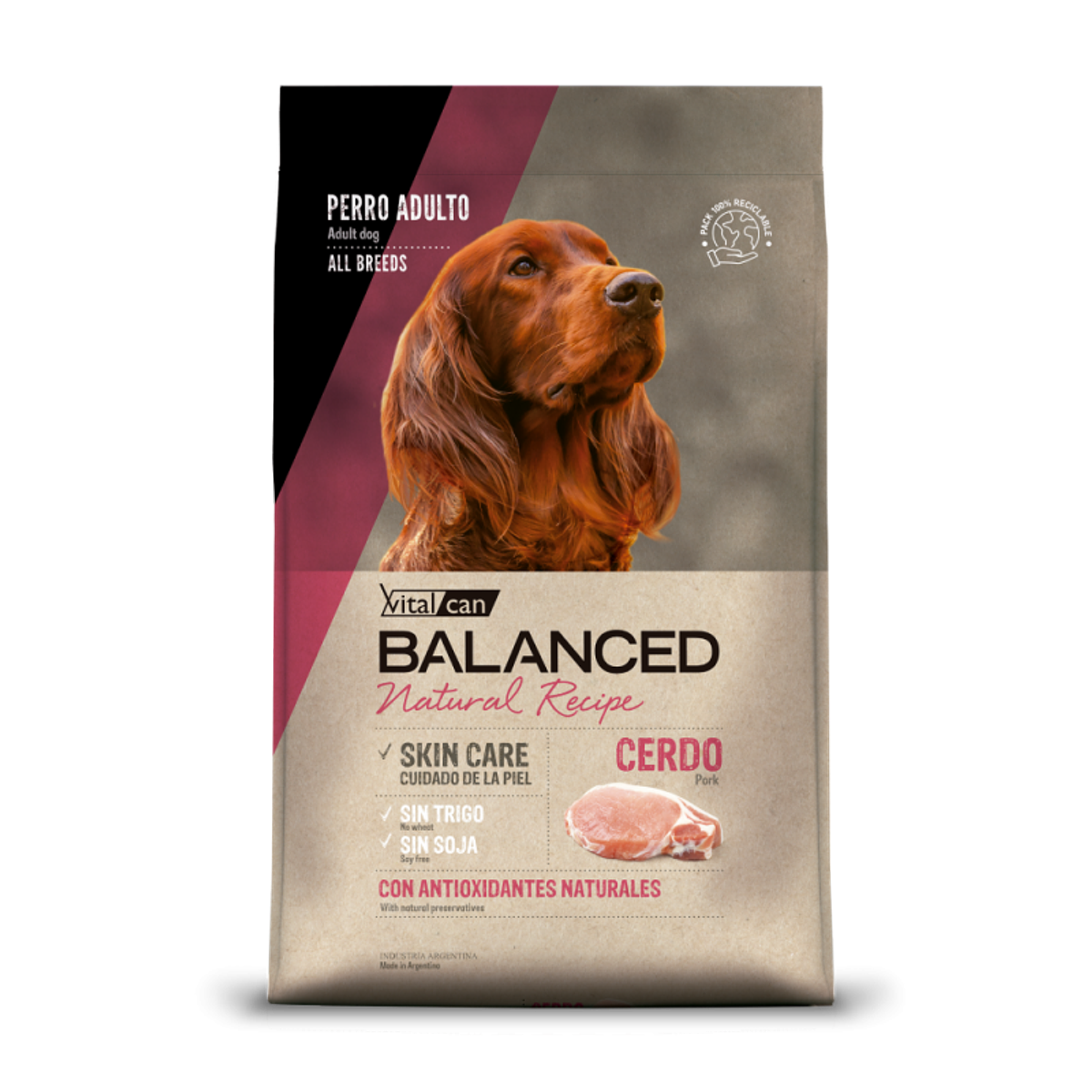 Balanced Perro Exclusive Recipe Cerdo | Tu Mascota Y Algo Mas