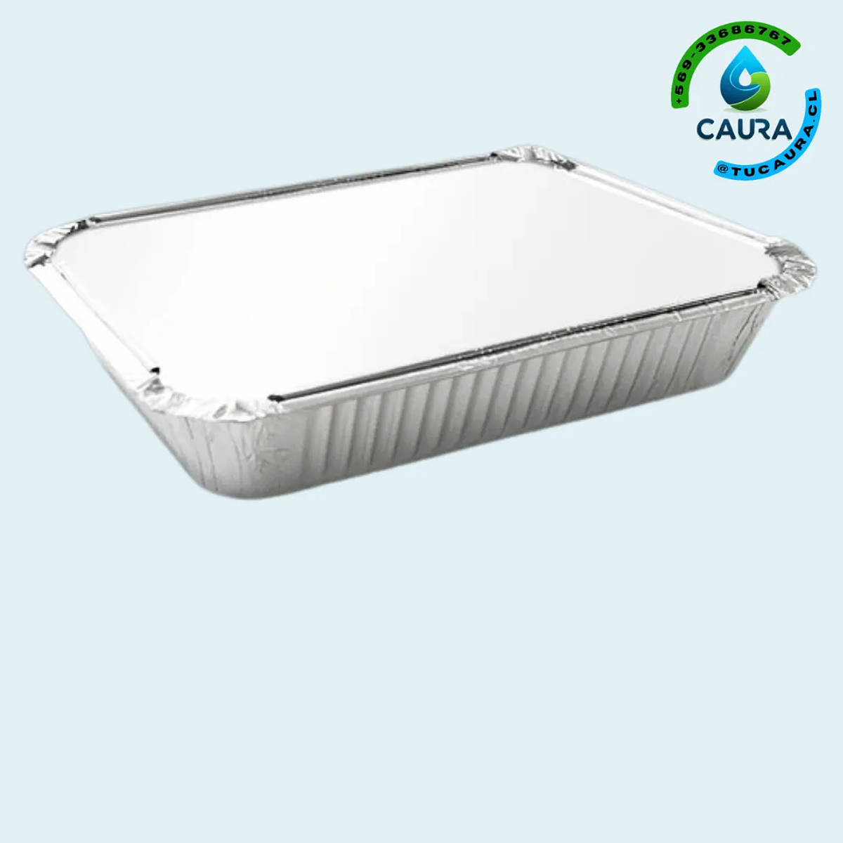 ENVASE ALUMINIO C-30 T/TERMOLAMINADA X20 | TUCAURA.CL