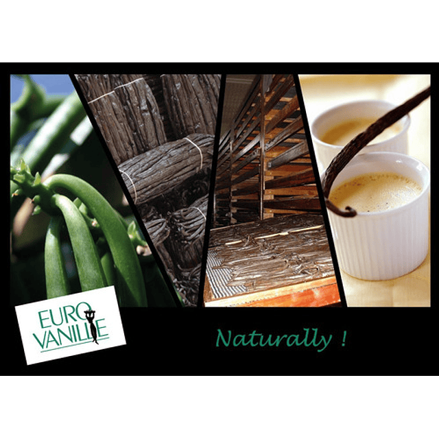 Pasta De Vainilla Premium Eurovanille 1 Kg.