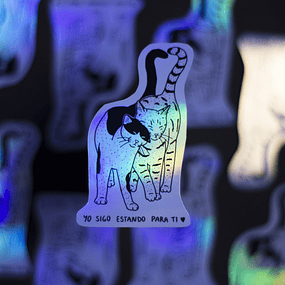 Stickers / adhesivos