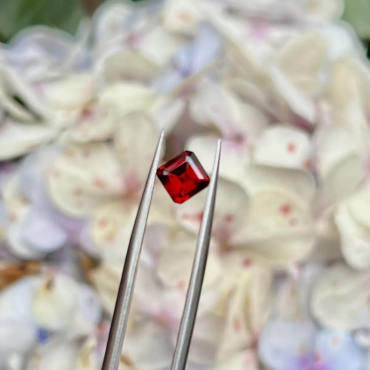 Granate rojo-2.185ct-7x7mm | Versatto Gemas & Joyas