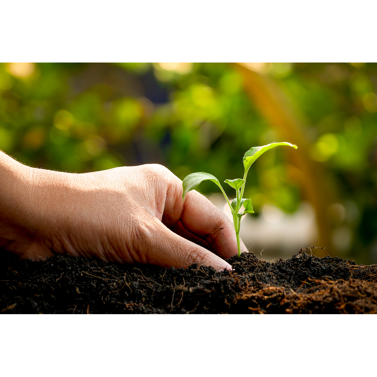 Produtos Biológicos