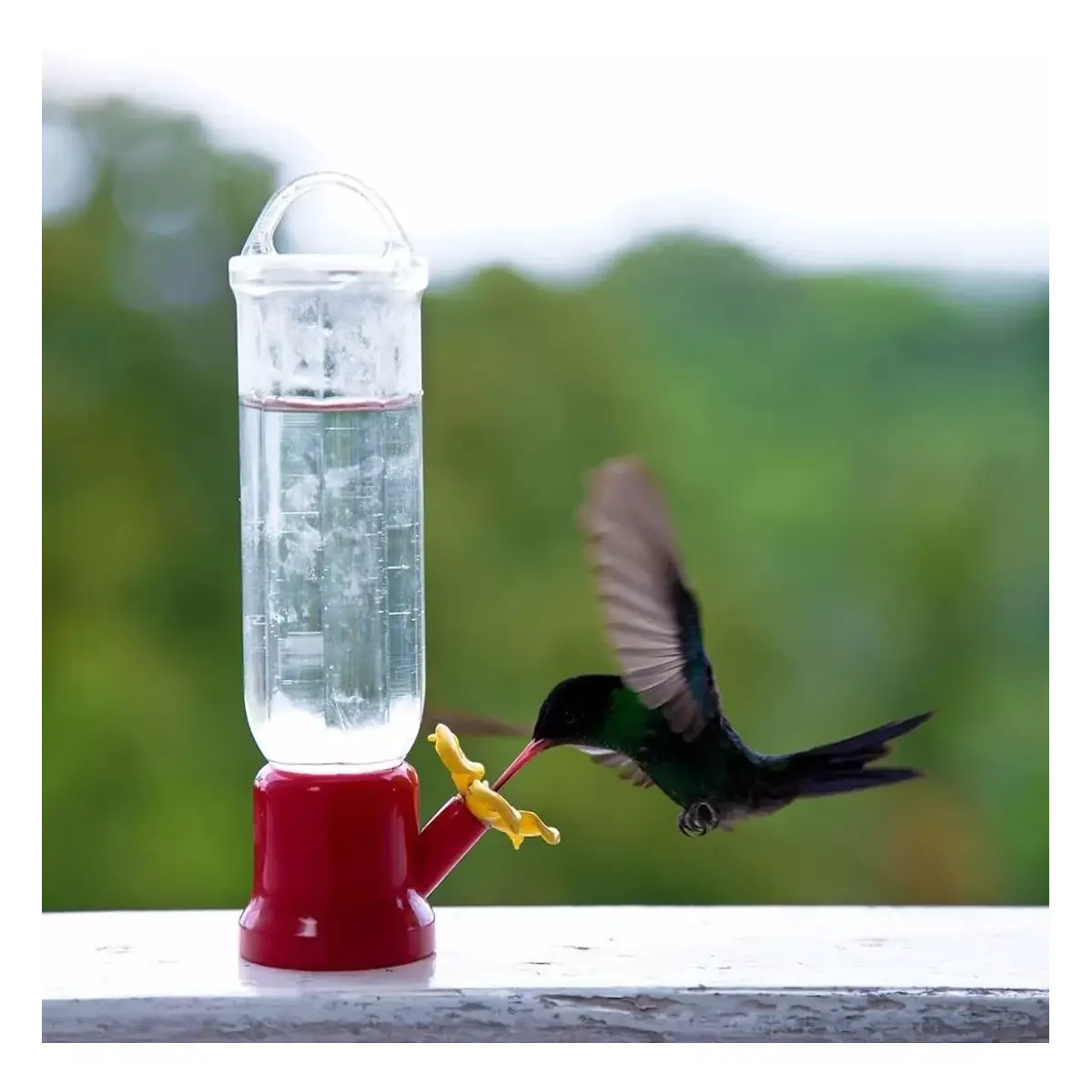 Bebedero De Colibríes Cilíndrico Colgar 2.3oz Plástico