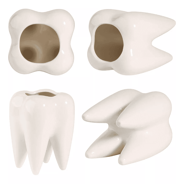 Maceta Cerámica Premium Diente Suculenta 10 centímetros Alto