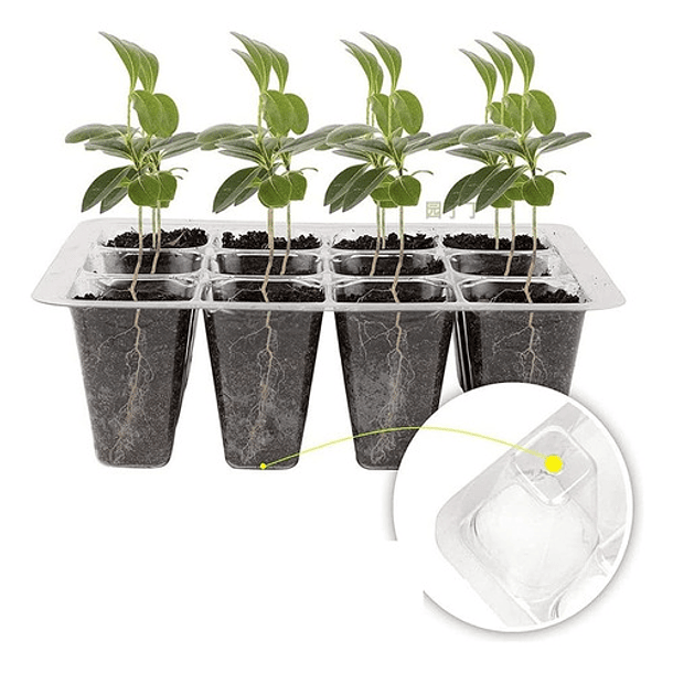 Kit Germinacion X3 Bandejas + Cupula Y Herramientas Plantas