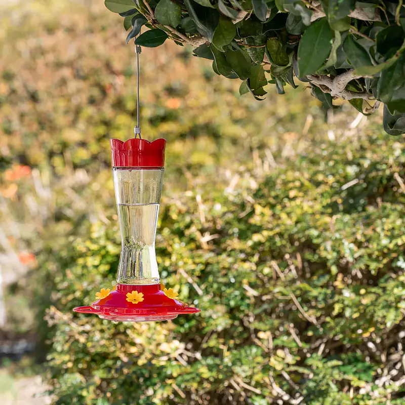 Bebedero Colibríes En Vidrio De Colgar 10 Oz X5 Flores