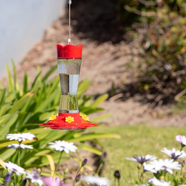 Bebedero Colibríes En Vidrio De Colgar 10 Oz X5 Flores