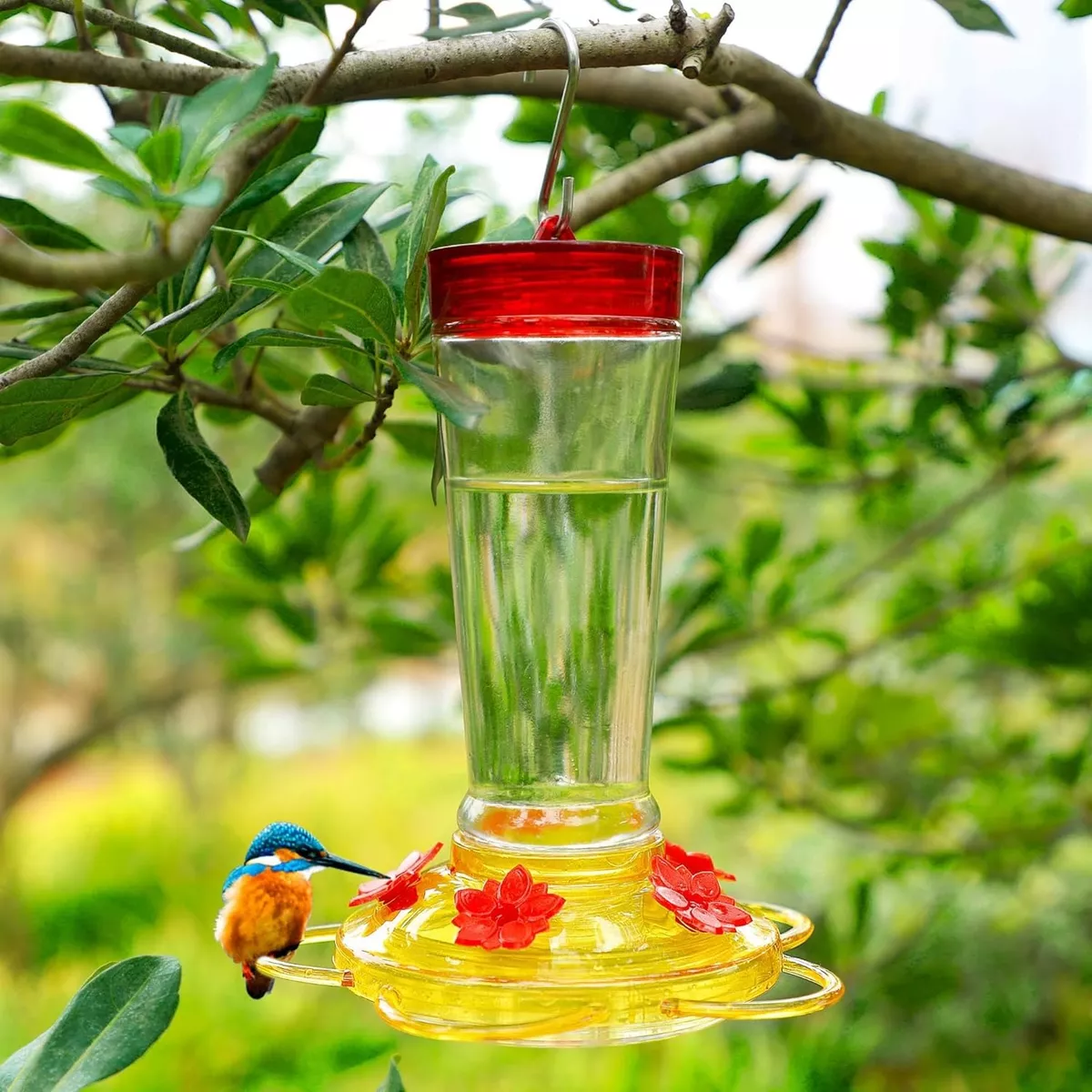 Bebedero Colibríes Aves Colgante En Vidrio x5 Flores