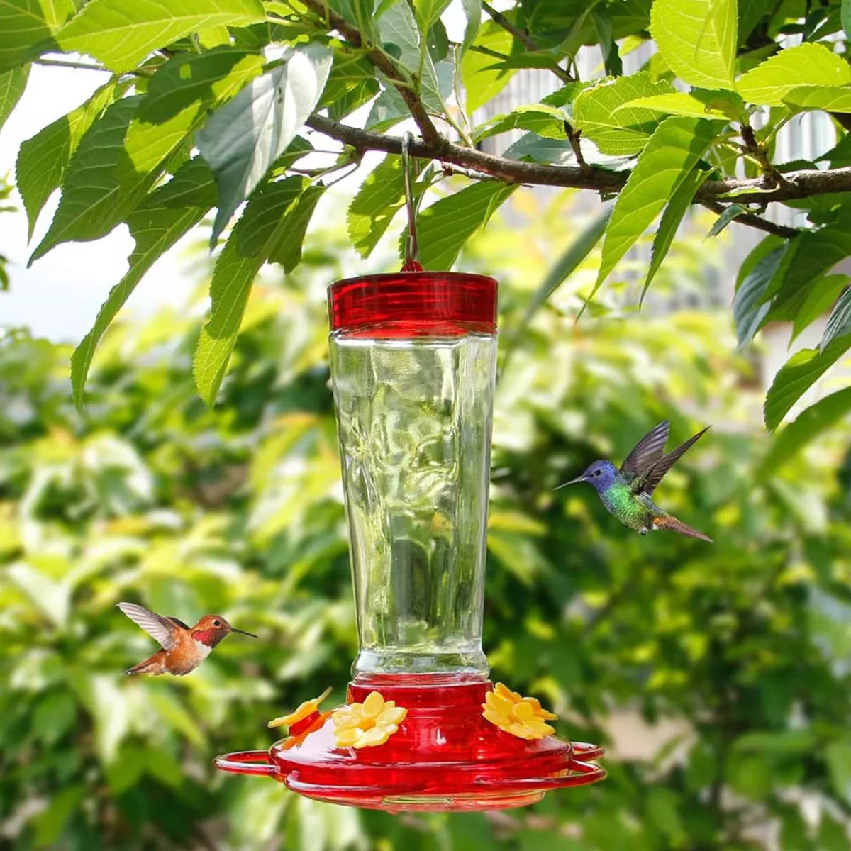 Bebedero Colibríes Aves Colgante En Vidrio x5 Flores