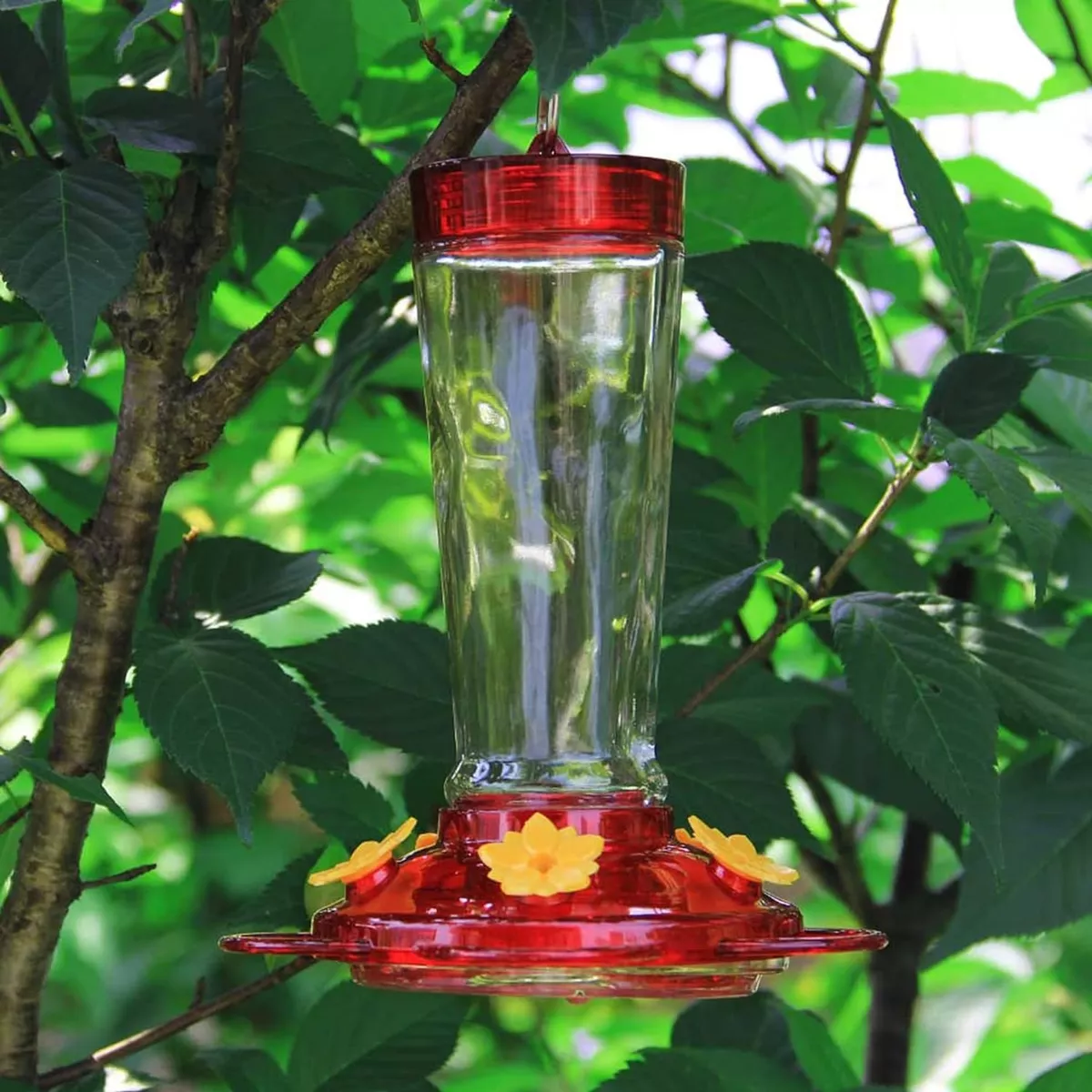 Bebedero Colibríes Aves Colgante En Vidrio x5 Flores