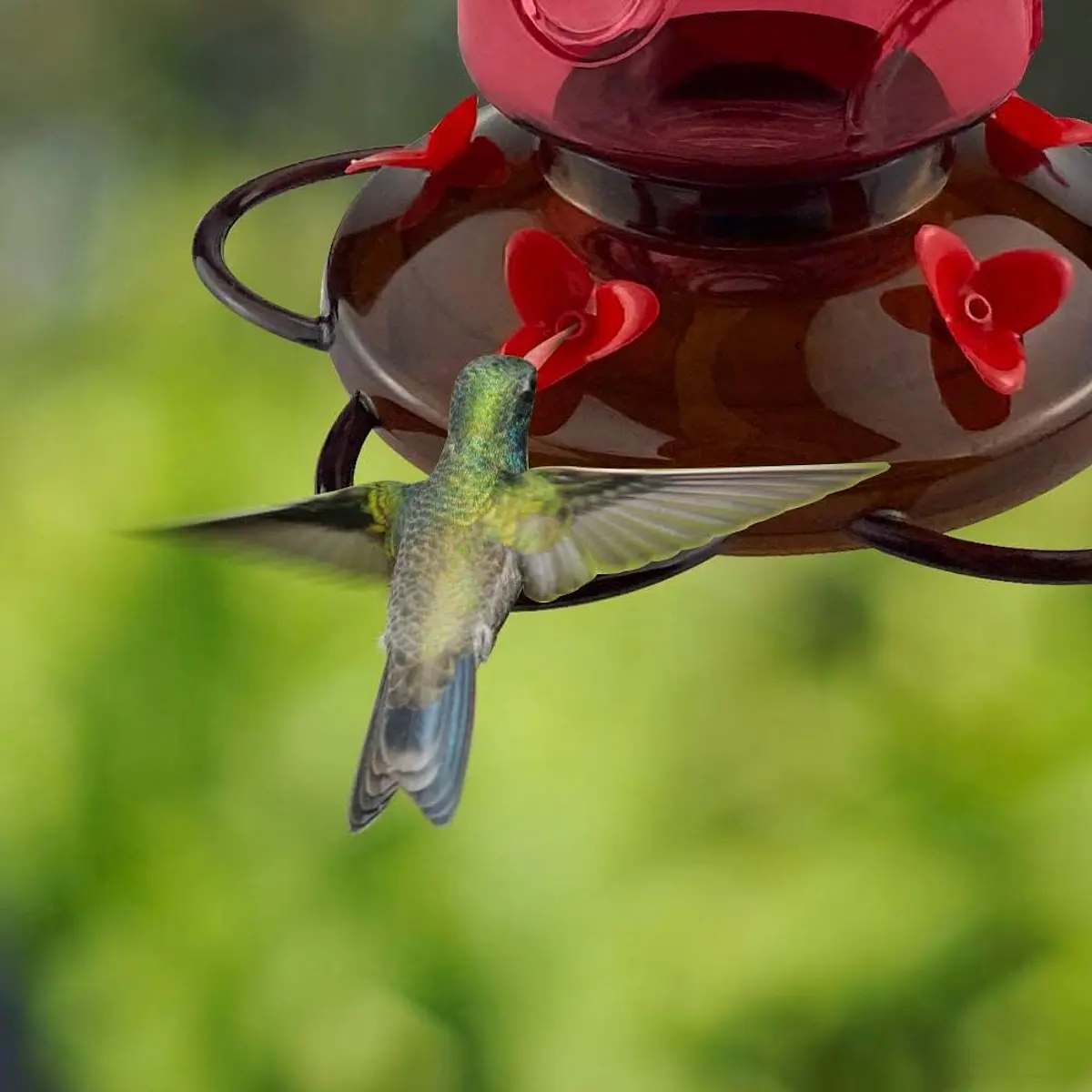 Bebedero Colibríes Vidrio Rojo 900mL