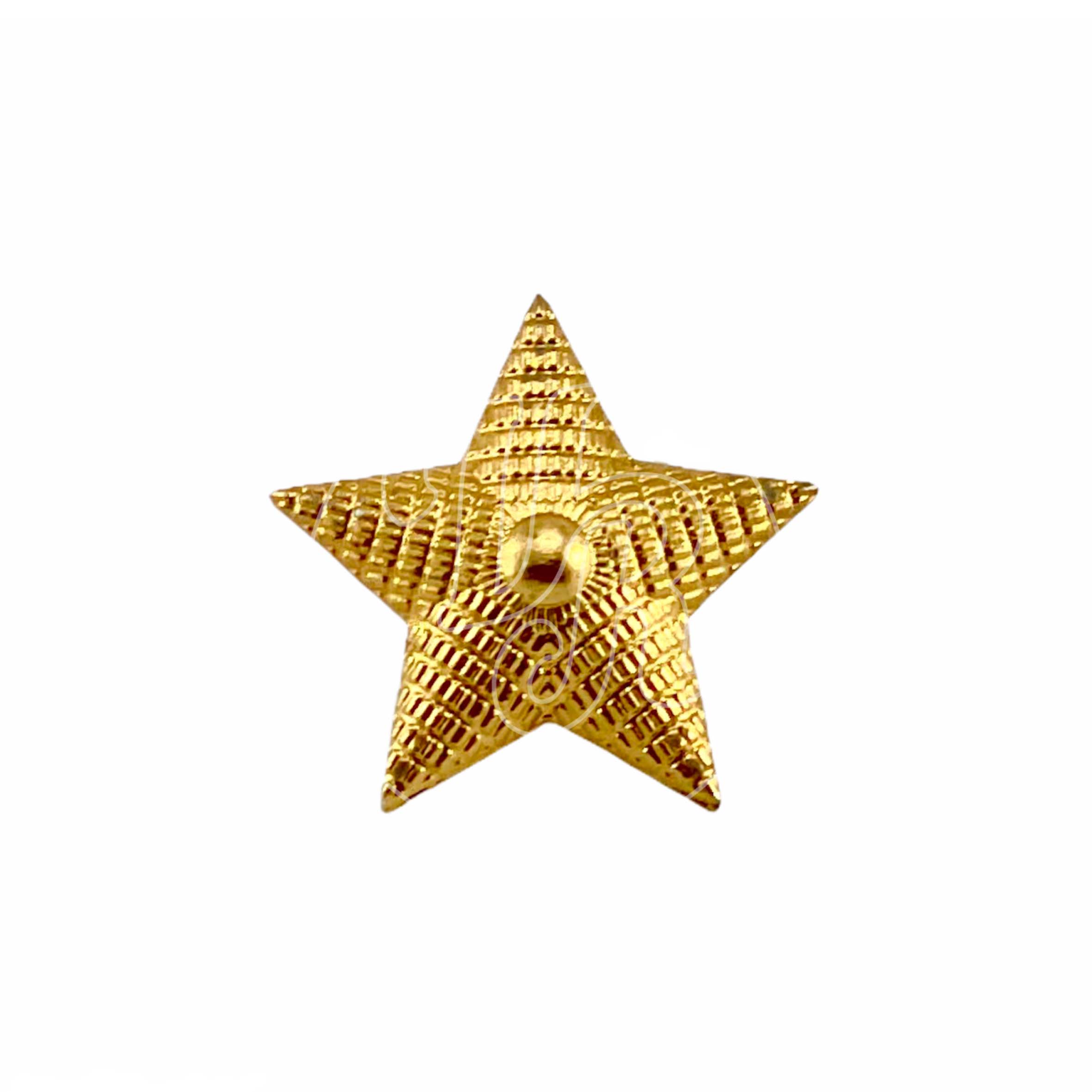 Pin Militar Ministerio de Defensa