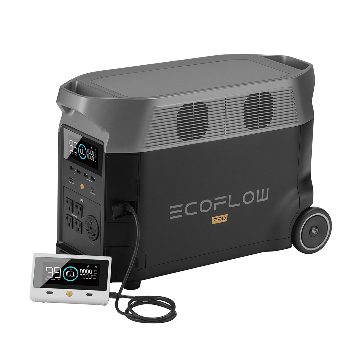 EcoFlow Delta Pro