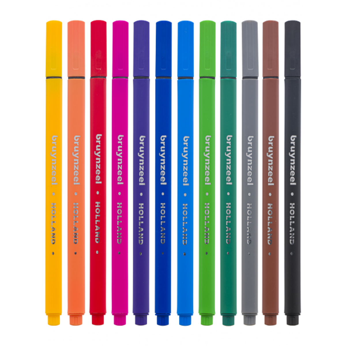 Marcadores Punta Fina Bruynzeel Set 12 Colores | Librería Voyaleer ...