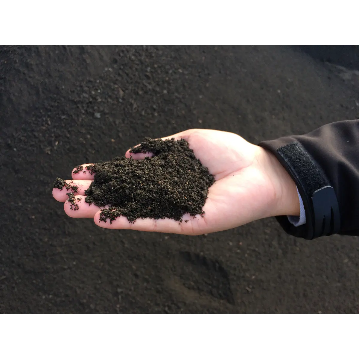 COMPOST O TIERRA DE HOJAS A GRANEL