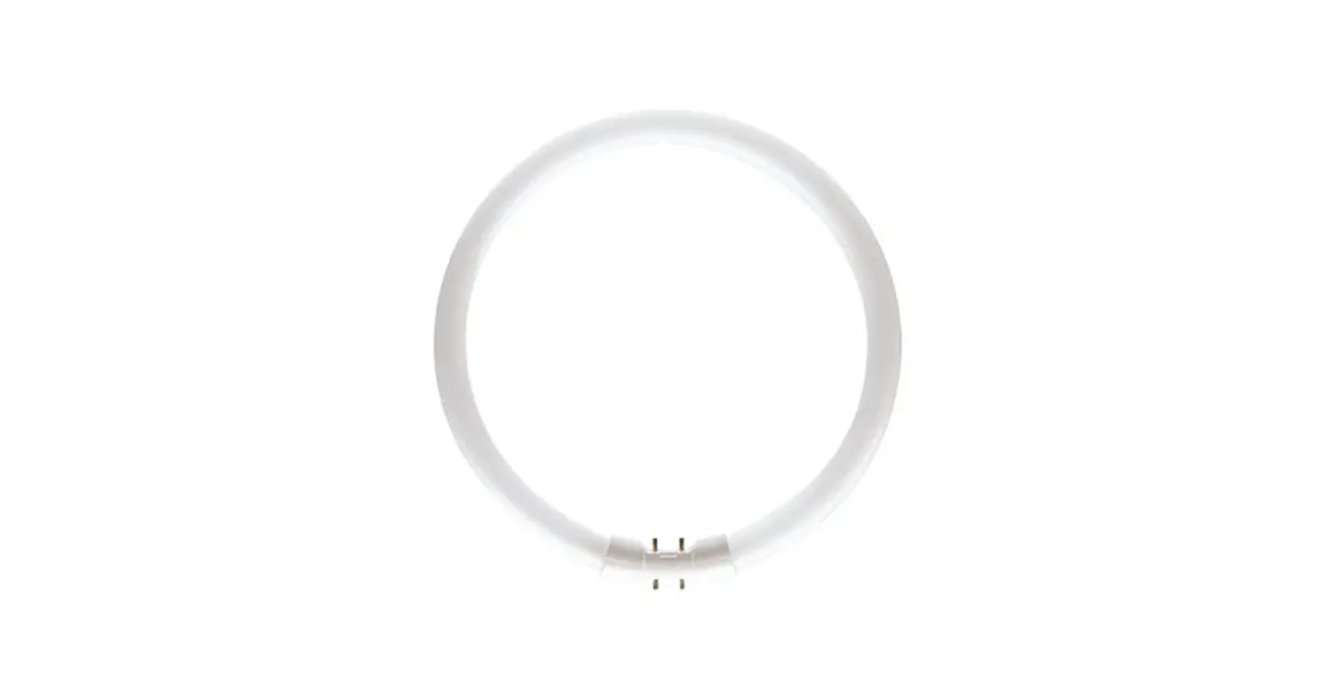 Lamp MASTER TL5 cicular 60W 840 1CT/10 Philips