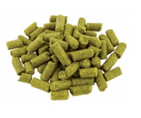 Hallertauer Tradition [5,5%AA] Kg