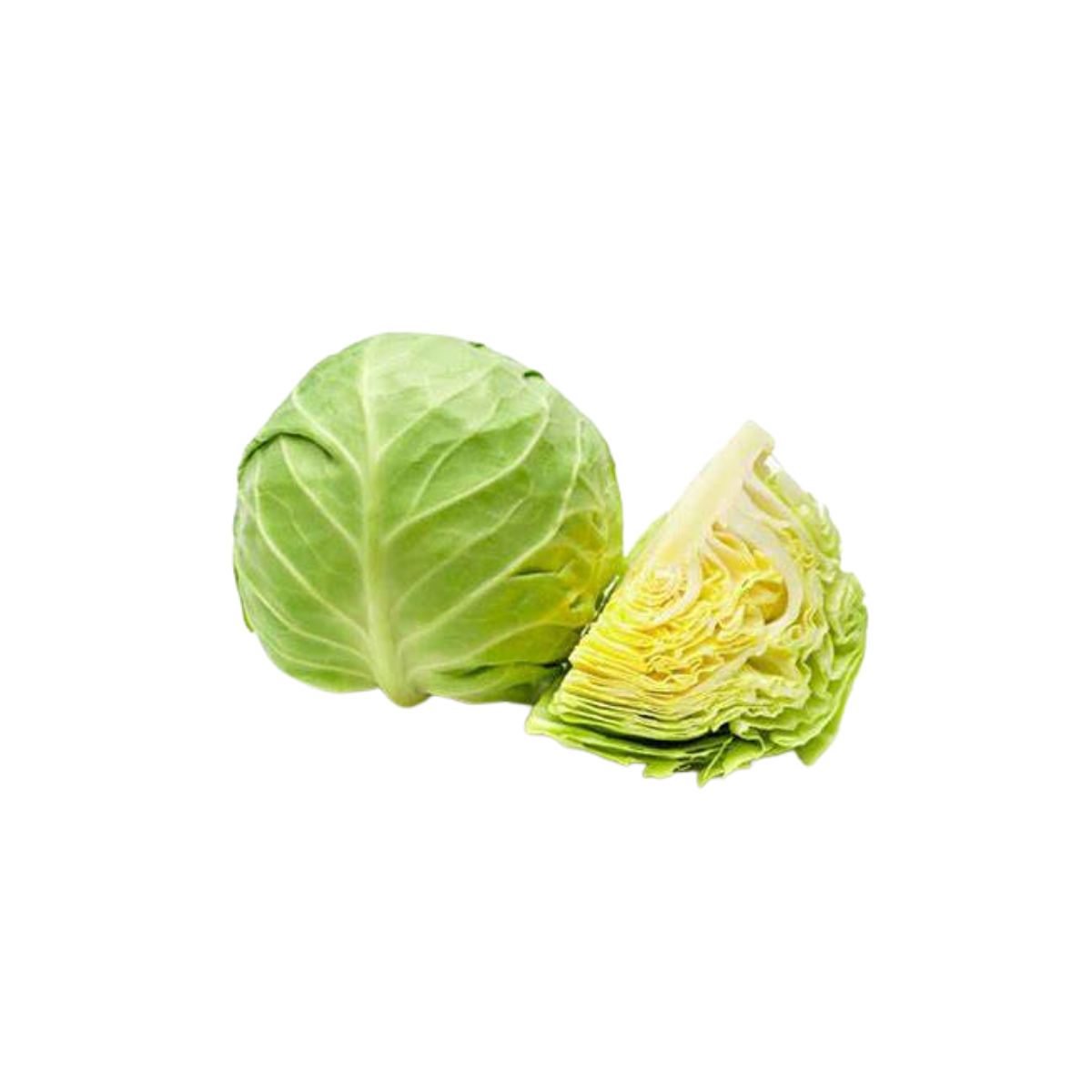 Repollo Blanco | www.agroloar.cl