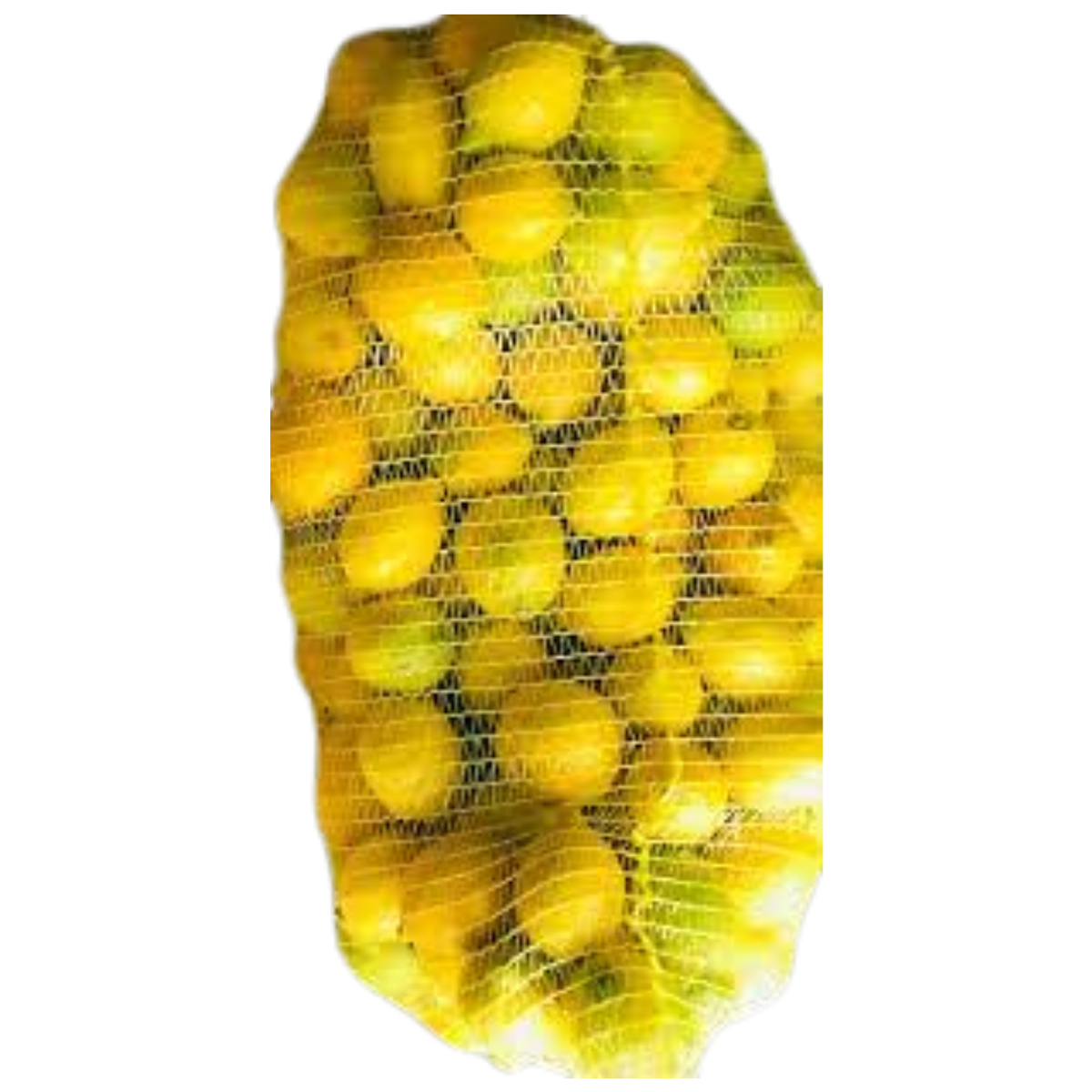 Malla de limon | www.agroloar.cl