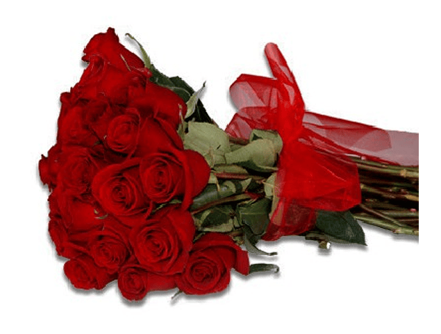 Ramo de 25 rosas rojas | Feel Flowers | Feel Flowers