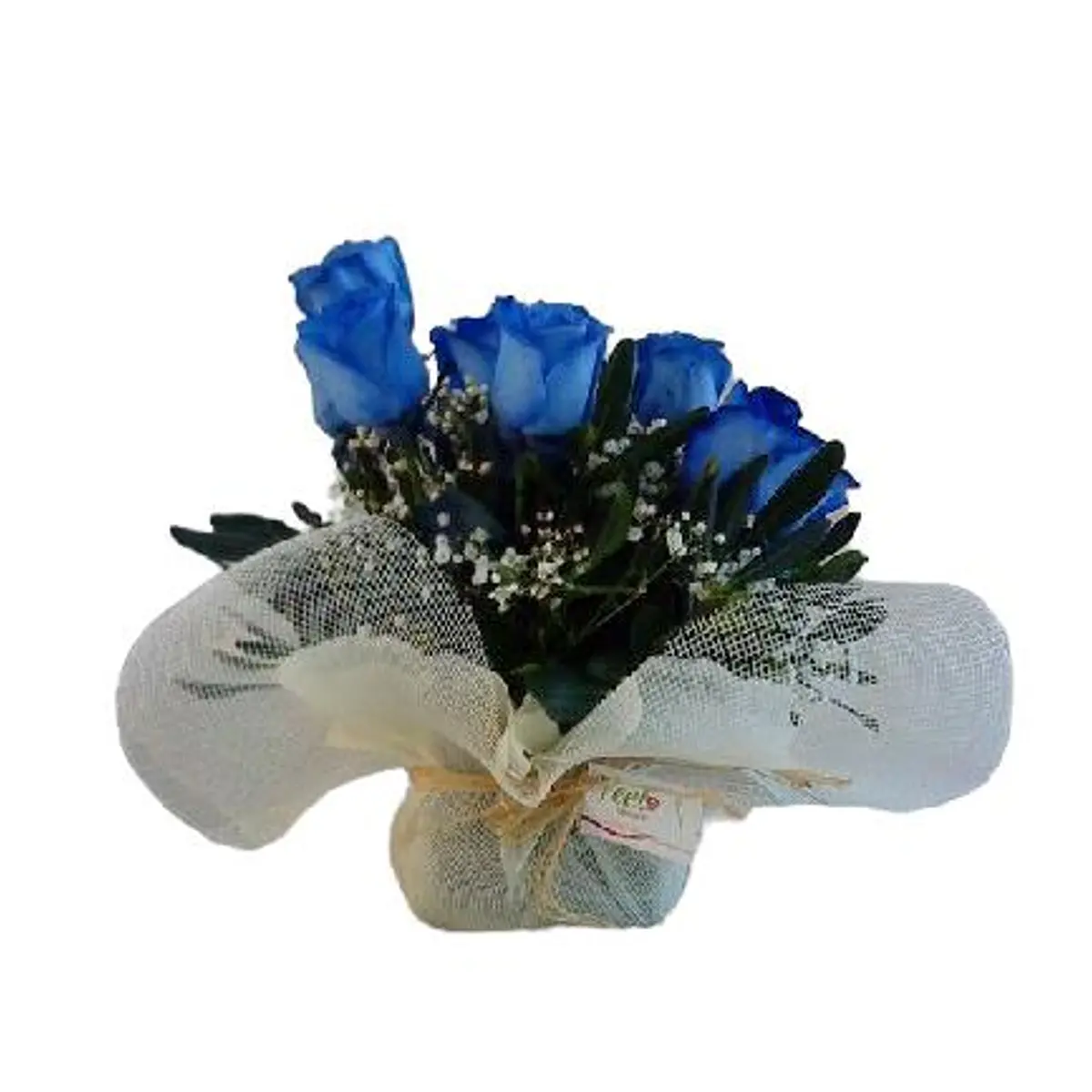 Rosas | Feel Flowers