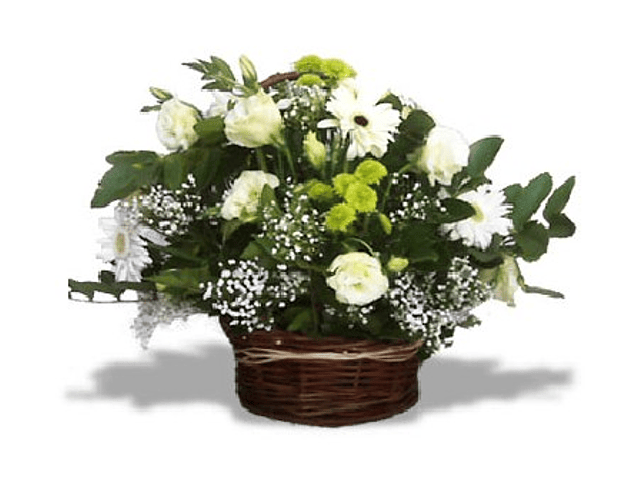 Canastillo de flores mixtas | Feel Flowers | Feel Flowers