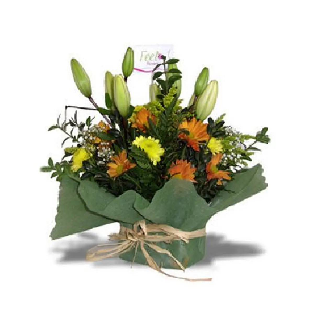 Liliums | Feel Flowers