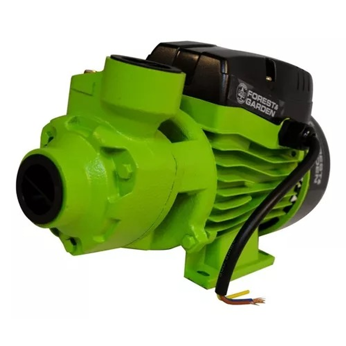 BOMBA ELECTRICA FOREST&GARDEN CF810/25 1.1HP1
