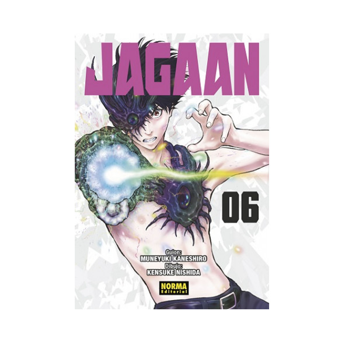 JAGAAN 06
