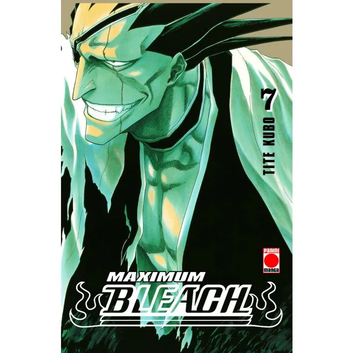 BLEACH MAXIMUM 07