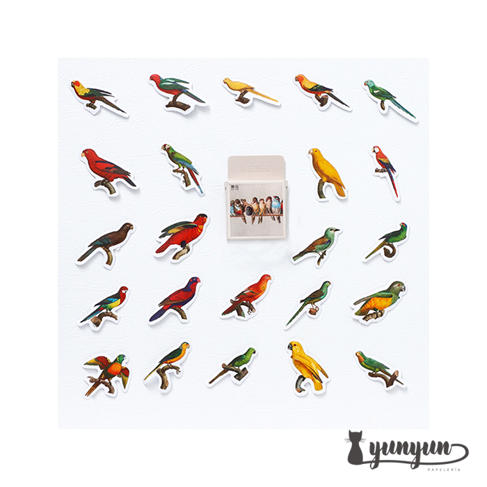 Caja Stickers Aves - 45 pzas