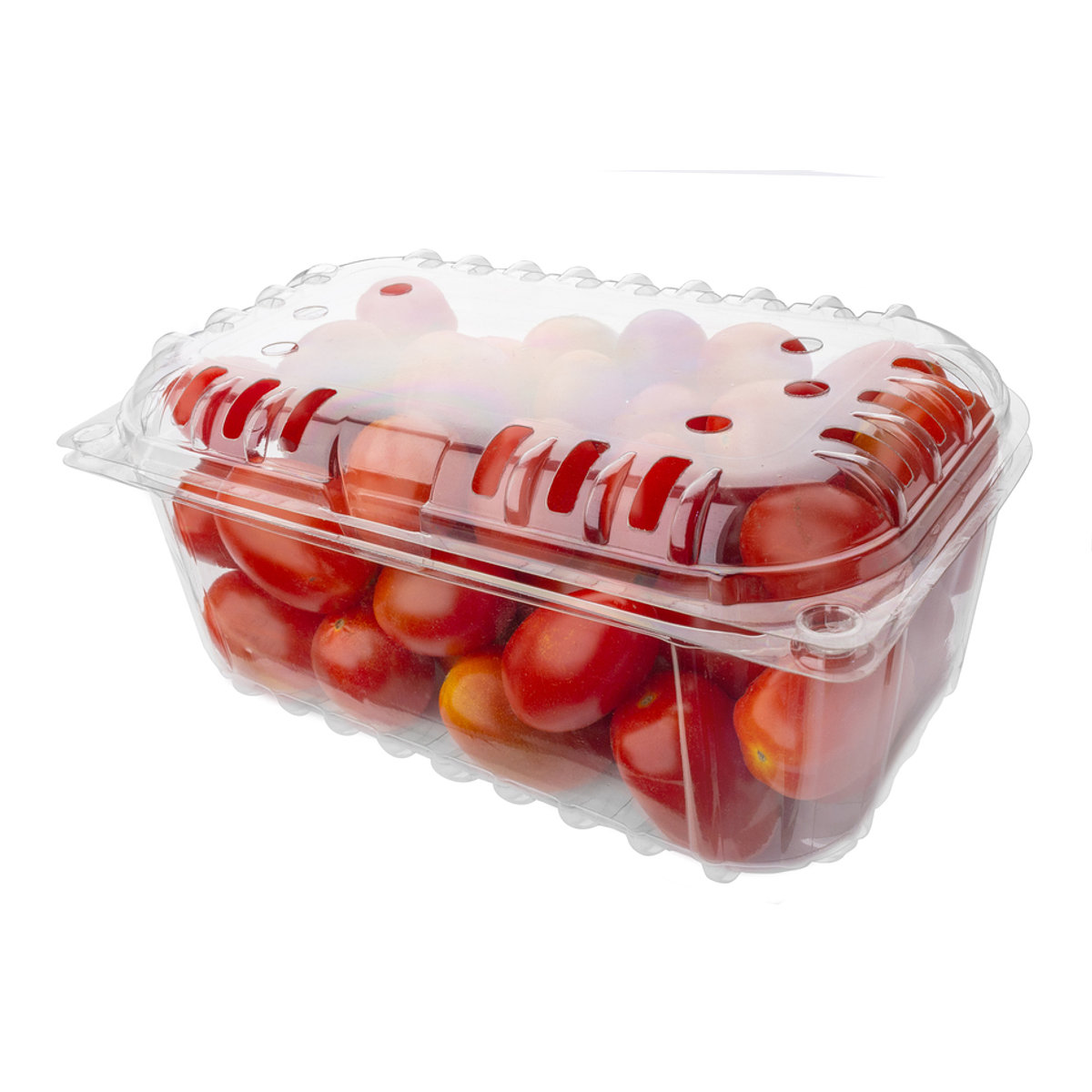 Clamshell Cod. 3501 | 500 grs